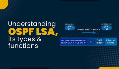 Top 11 OSPF LSA Types And Their Functions Best Explained