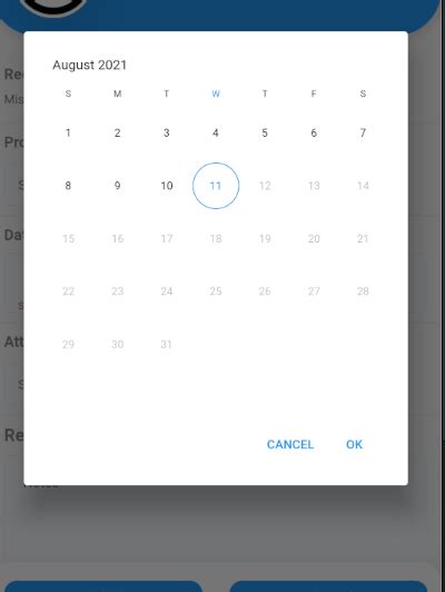 Flutter DateTimePicker Size Is Too Small Resize Flutter