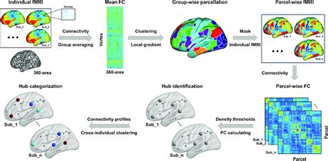 a framework of parcellation and graph theory analysis of the functional download scientific