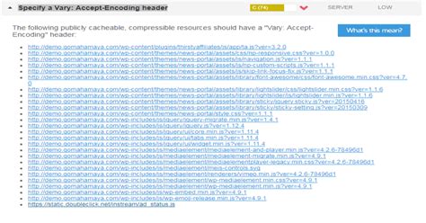 enable specify a vary accept encoding header to speed up wordpress