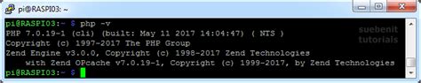raspberry pi als webserver mit nginx raspi server sysadmin deutsch suebenit