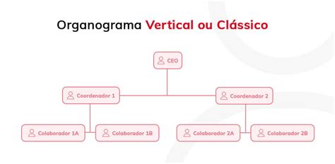 Organograma Saiba O Que E Como Montar Um Ortep The Best Porn Website