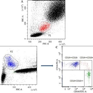 Multiparametric Flow Cytometry Gating Strategy For Monocyte Subsets