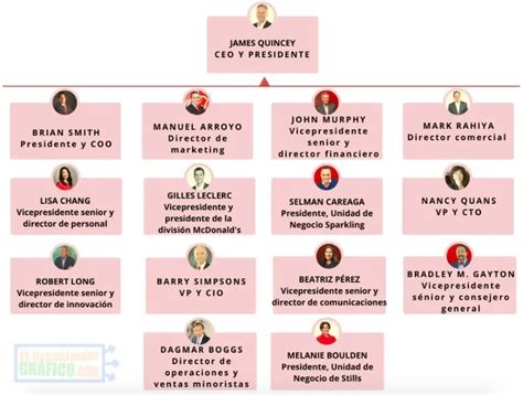 ᐈ ORGANIGRAMA de COCA COLA 2023 Funciones y Ejemplos