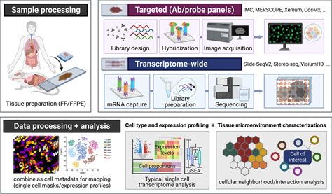 Spatial transcriptomics France Génomique