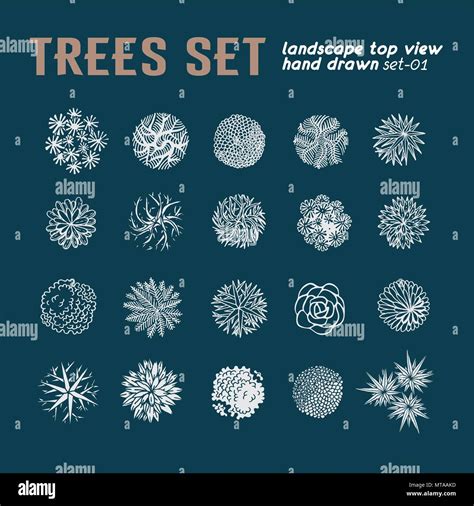 Trees Top View Different Plants And Trees Vector Set For Architectural