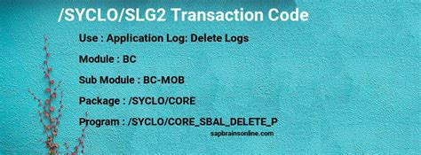 SYCLO SLG2 SAP Tcode For Application Log Delete Logs