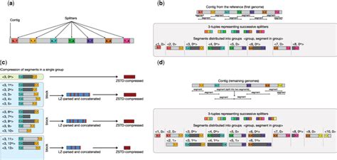 illustration of the most important stages of the compression algorithm download scientific