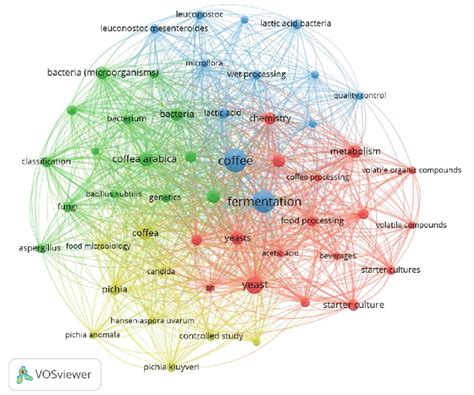 VOSviewer Network Visualization Map Of Keyword Co Occurrence