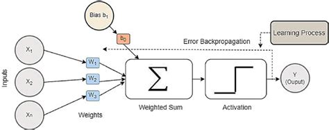 single layer perceptron download scientific diagram