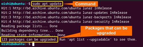 Apt Vs Apt Get What S The Difference LinuxSimply