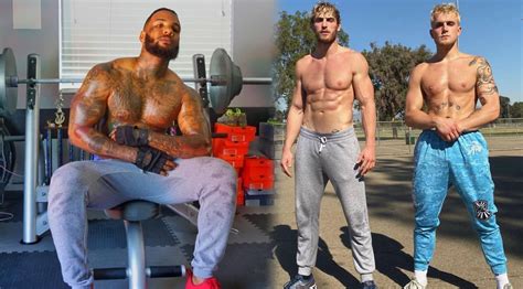Logan And Jake Paul Laugh Off The Game Boxing Callout You Would Get Knocked Out” Dexerto