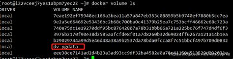 docker 启动一个postgresql 服务 docker中postgre怎么单独启动 csdn博客