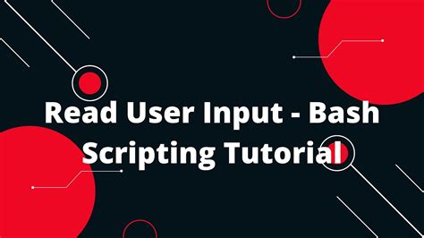 shell scripting tutorial for beginners 5 read user input bash scripting tutorial youtube