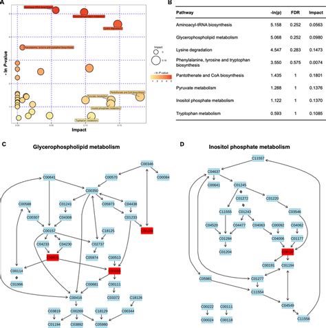 The KEGG Pathway Enrichment Analysis Of Differential Metabolites In