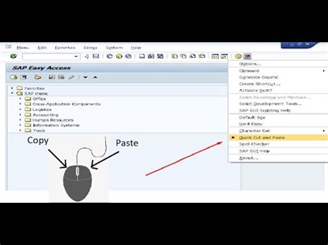 Sap Quick Text Copy And Paste Function Youtube