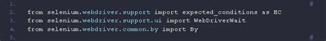 message element click intercepted element is not clickable with selenium and python errorsden