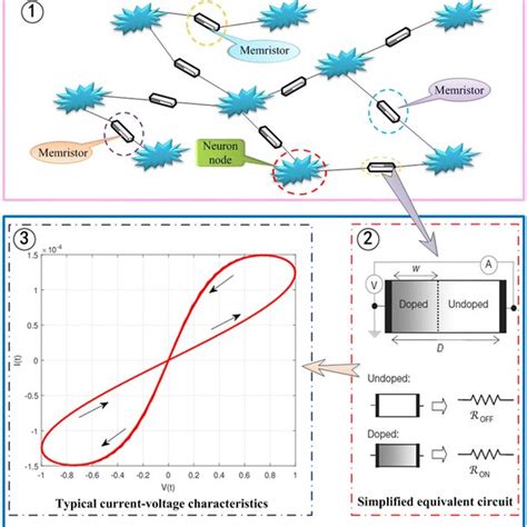 sketch map of the memristor and partial memristor based neural download scientific diagram