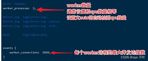 nginx进程模型 csdn博客