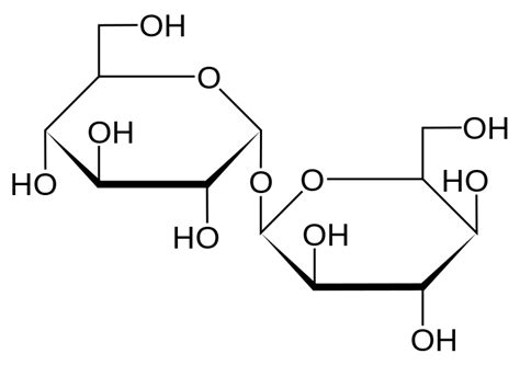 Disaccharides Structure Function Examples List