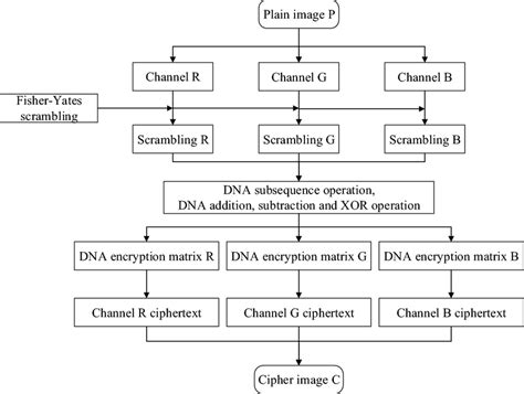 the flowchart for the encryption process download scientific diagram