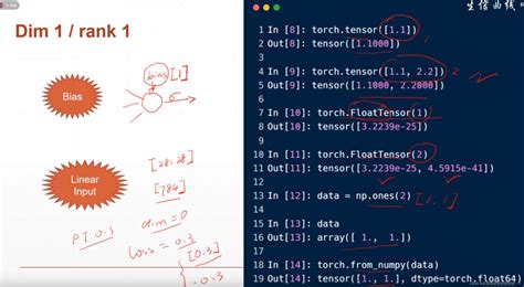 pytorch入门 tensor的维度 csdn博客