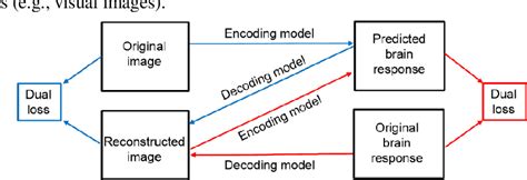 figure 1 from brain encoding and decoding in fmri with bidirectional deep generative models