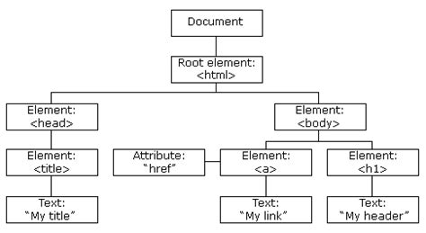 The Document Object Model DOM Coders Campus