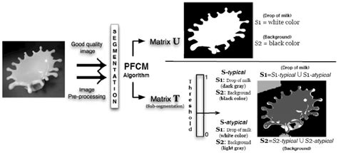 images sub segmentation by fuzzy and possibilistic clustering algorithm