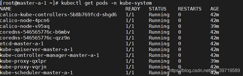k8s 踩坑 calico node master a 1 is already using the ipv4 address 172 18 0 1 羽毛大大的博客 csdn博客