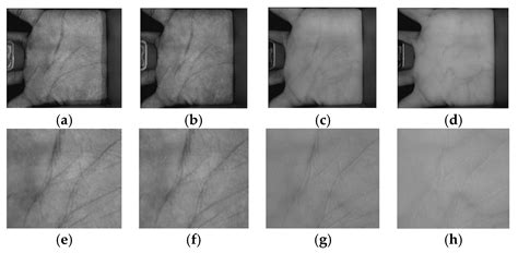 sensors free full text an effective palmprint recognition approach for visible and