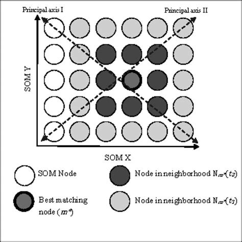 an illustration of the self organizing map som unsupervised learning download scientific