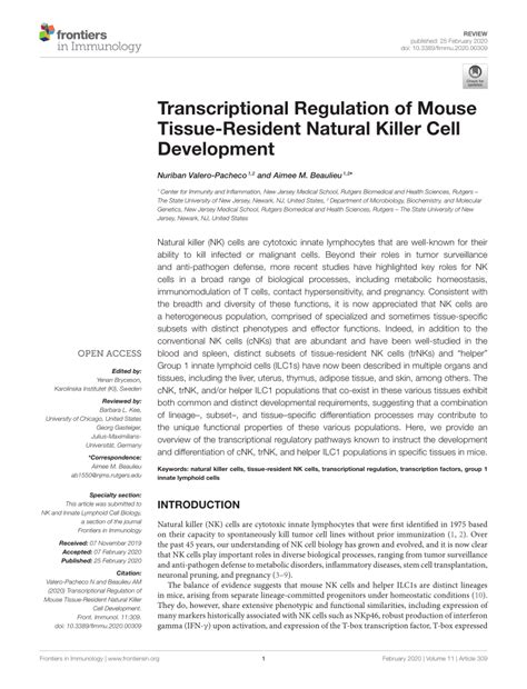 PDF Transcriptional Regulation Of Mouse Tissue Resident Natural