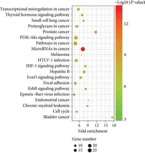 Functional Annotation Of The Predicted Targets Of Candidate MiRNAs A