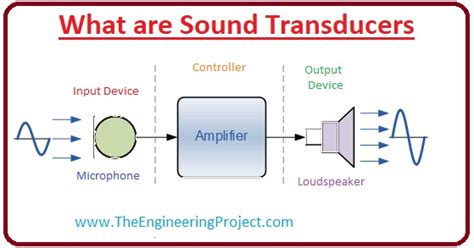 Amico Raschietto Succulento Audio Transducer Vs Speaker Settlers Topo