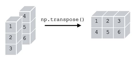 numpy transpose explained sharp sight