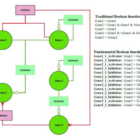 synchronous attractors of the cell cycle fundamental boolean model download scientific diagram