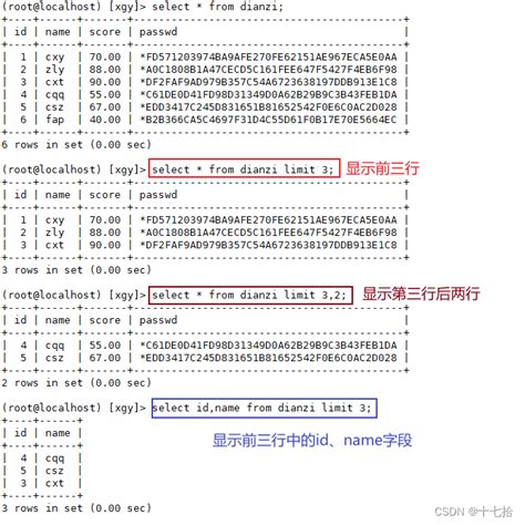 mysql数据库：基础sql语言详解 csdn博客