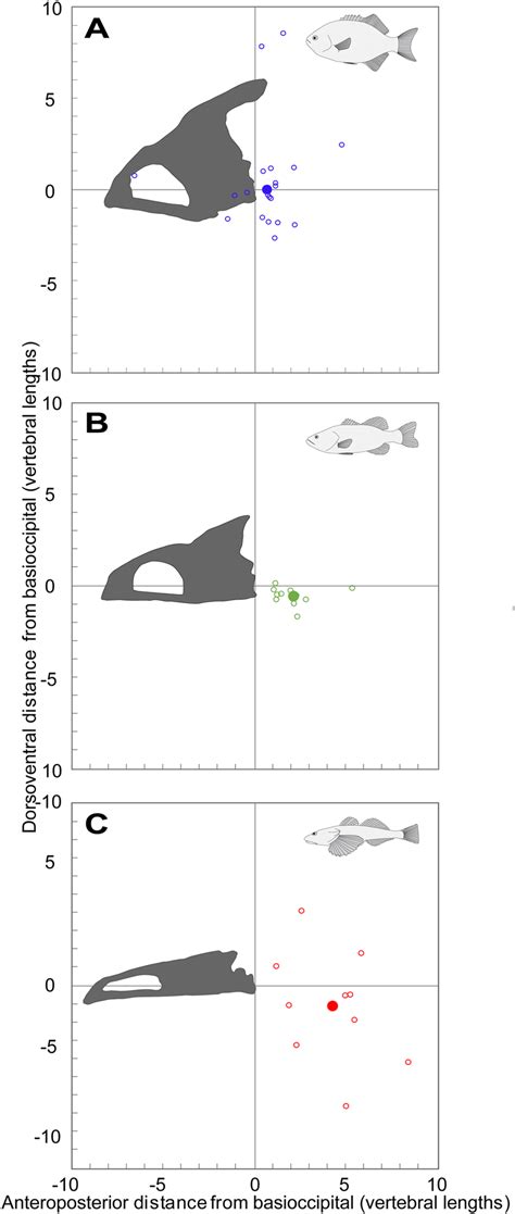 normalized aor position for each species the position of the aor for download scientific
