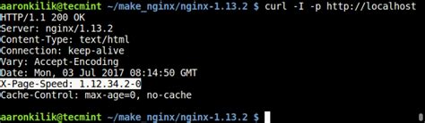 Install Nginx With Ngx Pagespeed Speed Optimization On Debian And Ubuntu