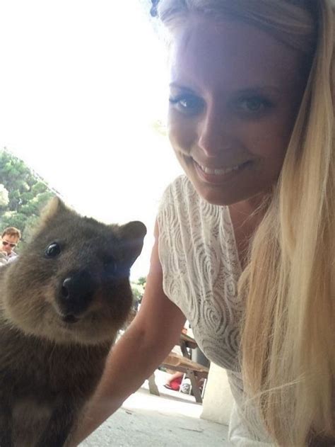 Selfies With Quokkas Is The New Hotness In Australia Strange Beaver