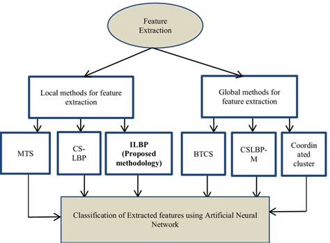 classification of feature extraction methods download scientific diagram