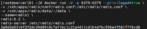 【docker】docker安装redis，并配置数据备份同步到宿主机 docker 挂载redis到宿主机 csdn博客