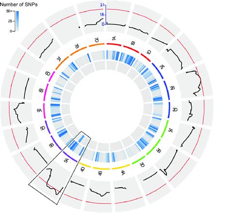 quantitative trait loci qtl analysis and near isogenic line nil download scientific diagram