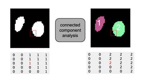 connected component labeling image analysis training resources