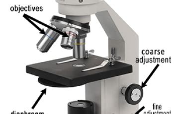 Microscope Introduction E Lab