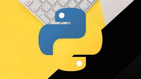 Learn Python Basics For Beginners YouTube