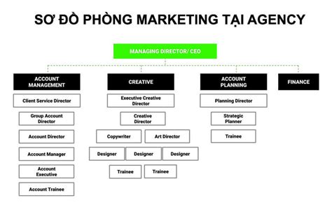 Sơ Đồ Tổ Chức Phòng Marketing Như Thế Nào Giải Đáp