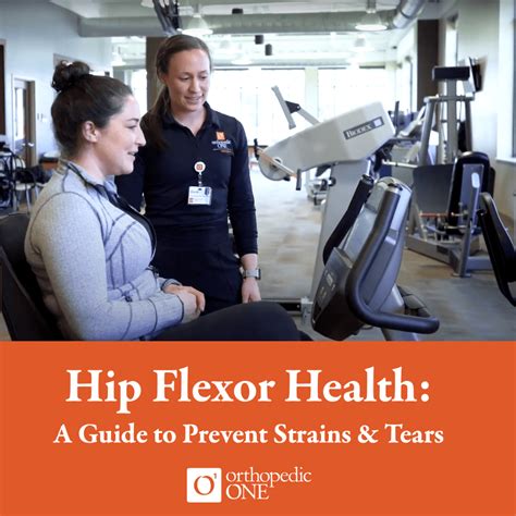 Hip Flexor Health A Guide To Prevent Strains And Tears Orthopedic One