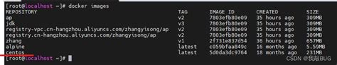 docker下载镜像 配置阿里云加速器 和容器的基本使用 有指令解释哦~ docker镜像下载 csdn博客